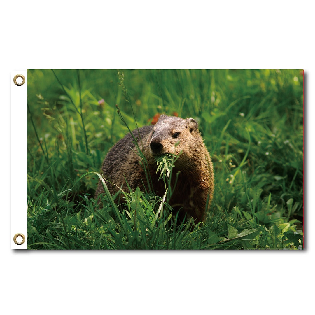 Groundhog Day Flag Background Custom Any Size Tapestry 100D Polyester ...