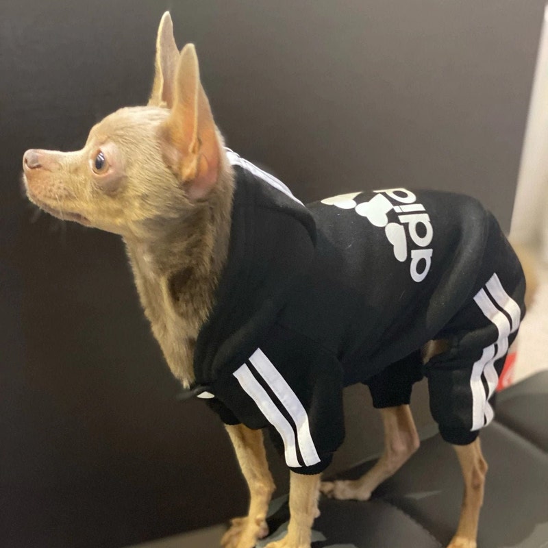 Perrito con traje - Etsy México