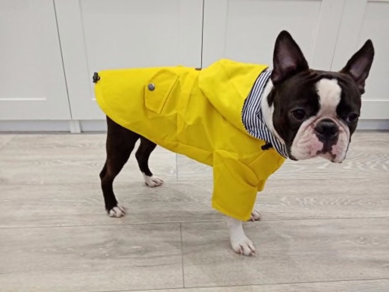 Yellow Raincoat || Rain Windbreaker Dog Clothing, XXL, XL, Large Dogs ...