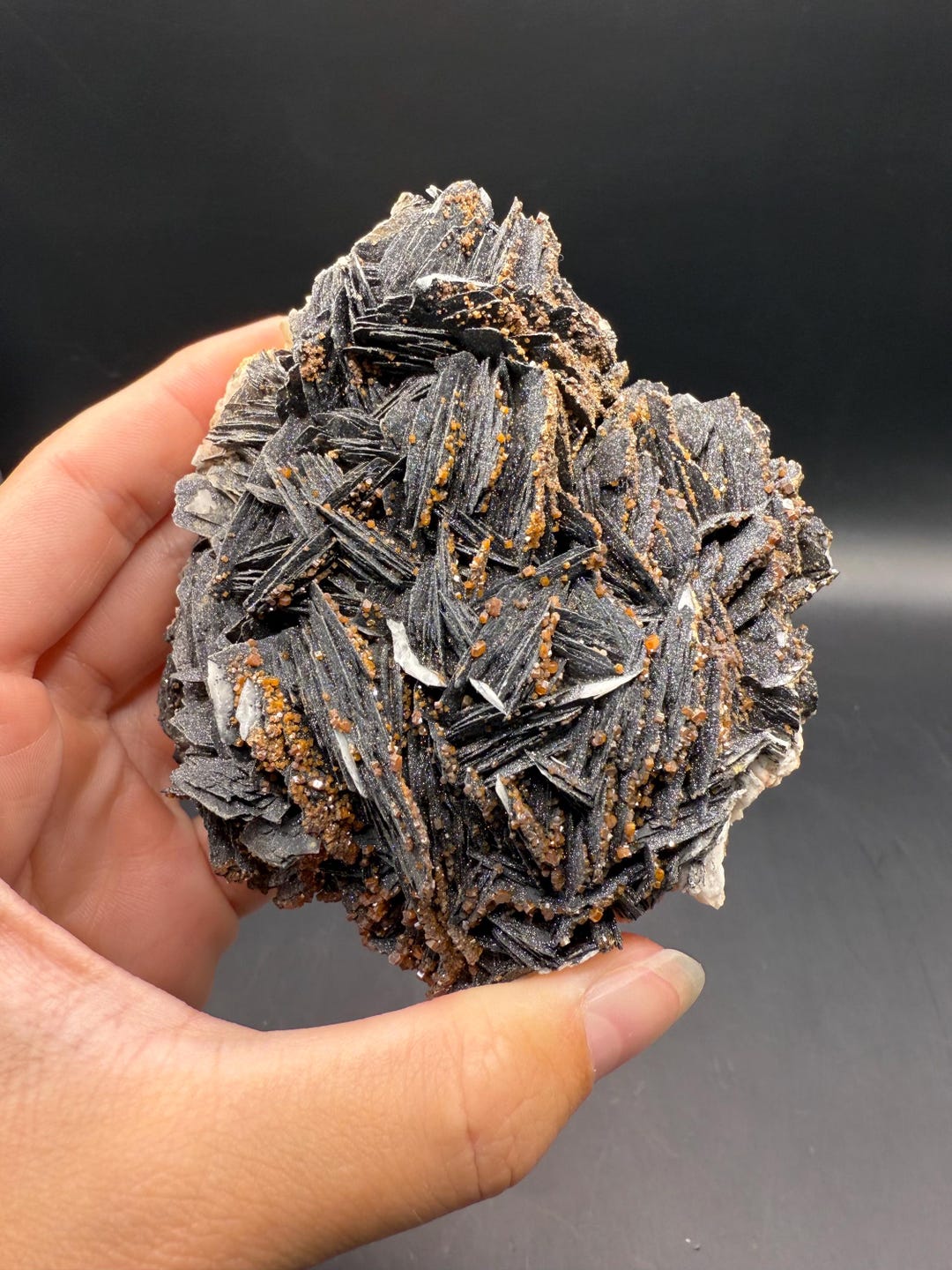 Vanadinite on Goethite on Baryte (barite) From ACF Mine, Morocco - Etsy