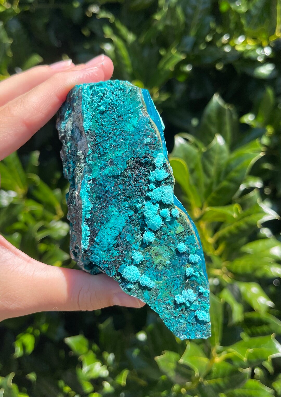 Chrysocolla Specimen From the Cunyari Mine Peru 136g. High - Etsy