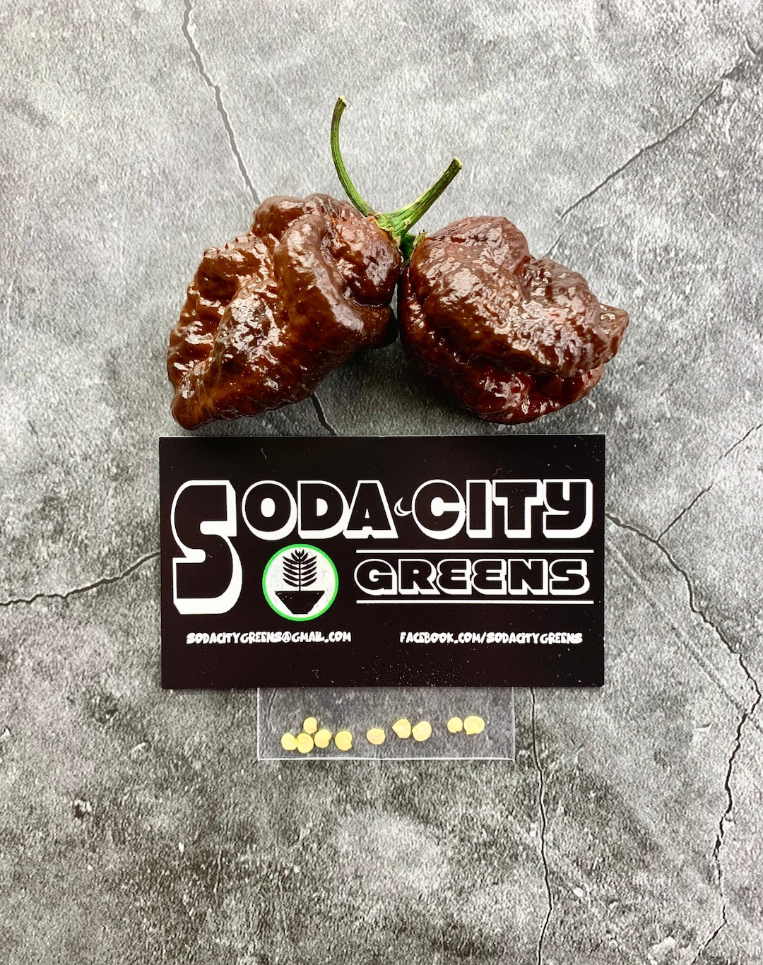Apocalypse Chocolate Scorpion Pepper Seeds - Etsy
