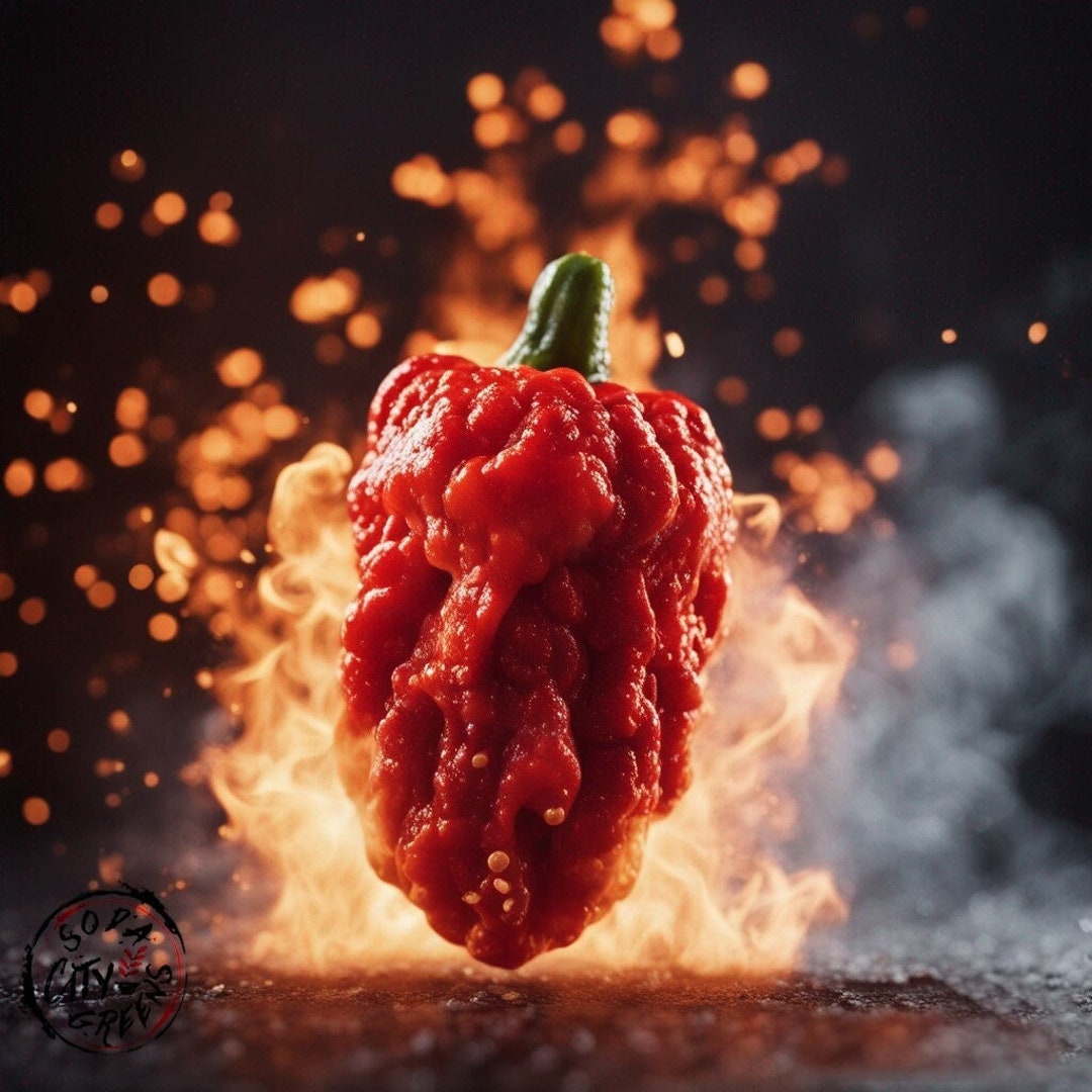 Multipack- Red Hot Pepper Seed Combo Packs - Etsy