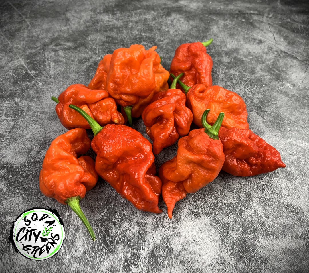 Reapion (reaper X Scorpion Hybrid) Hot Pepper Seeds - Etsy