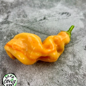 Variety Sweet Heat Pepper Packs (you Choose!) - Etsy