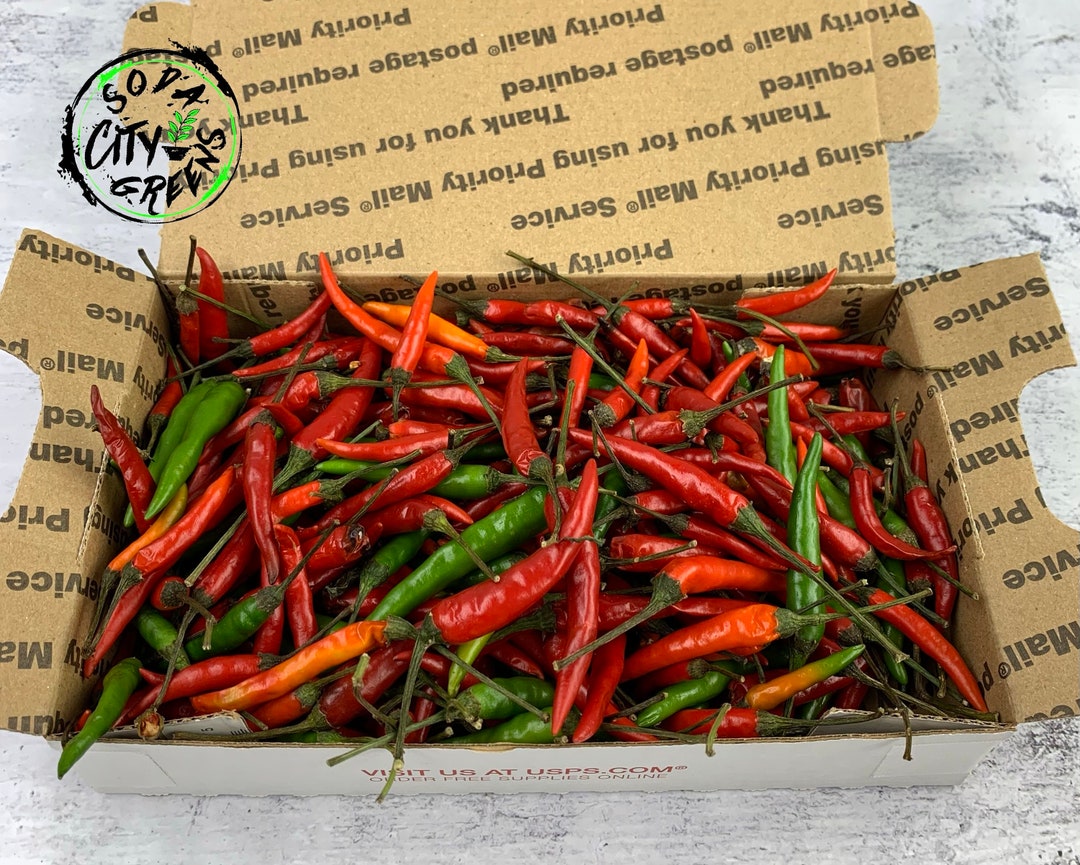 Thai Bird Chili Pepper Boxes (freshly Picked) - Etsy
