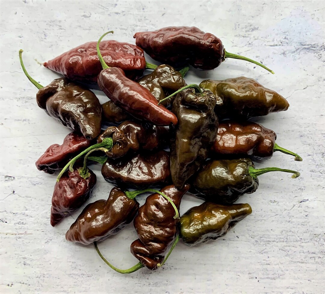 Chocolate Ghost bhut Jolokia Pepper Seeds 10 SHIPS FREE - Etsy