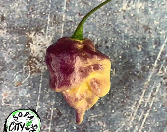 Snow White Pepper - Etsy