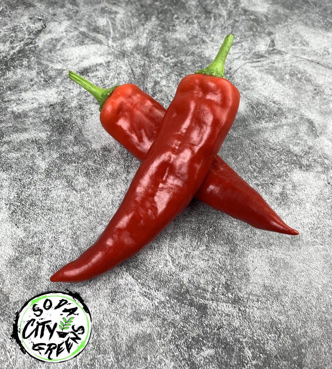 Hatch (new Mexico Red) Heirloom Chile Pepper Seeds - Etsy