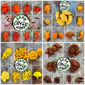 Multipack- Sweet Heat Pepper Seed Combo Packs - Etsy