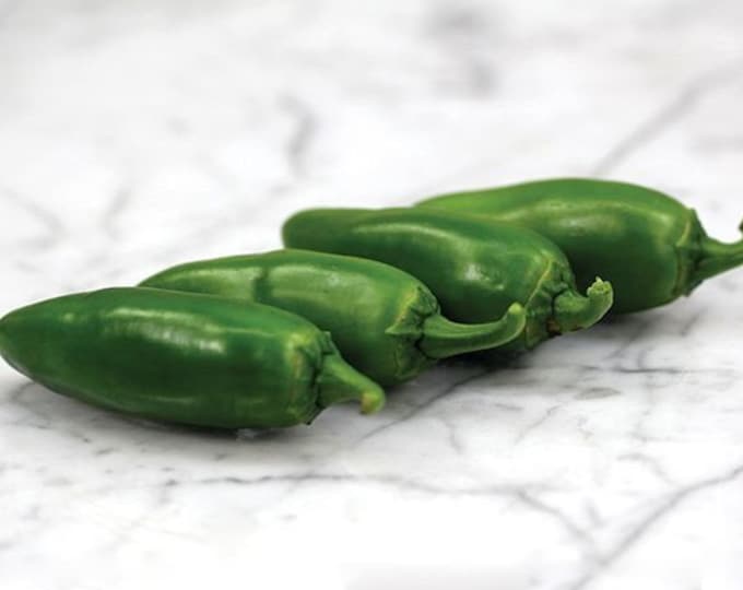 Coolapeño (heatless Jalapeno) Hybrid Pepper Seeds - Etsy