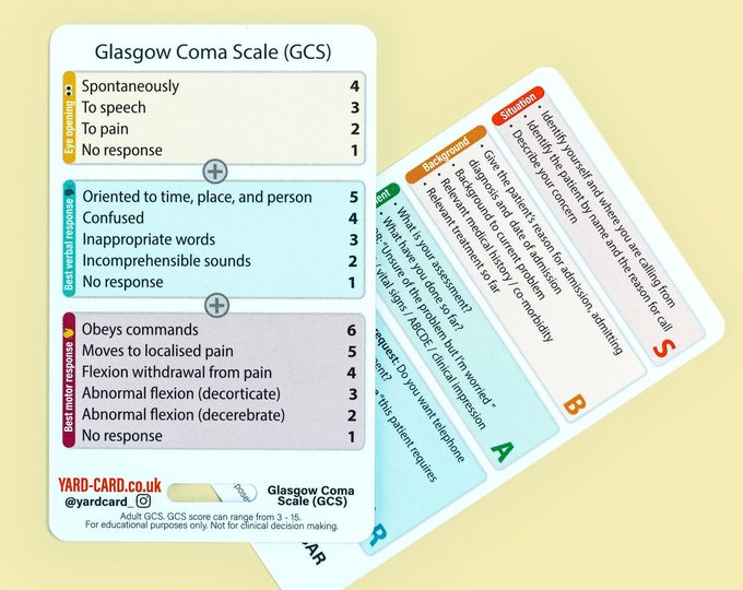 SBAR & Glasgow Coma Scale Badge Card for Student Nurses, Medical ...