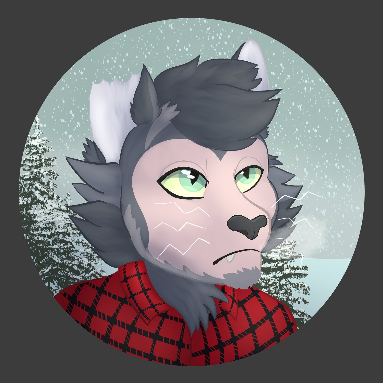 Furry Custom Icon | Etsy