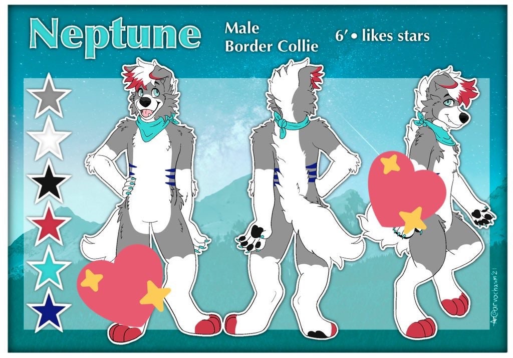 Furry Fursona Reference Sheet - Etsy