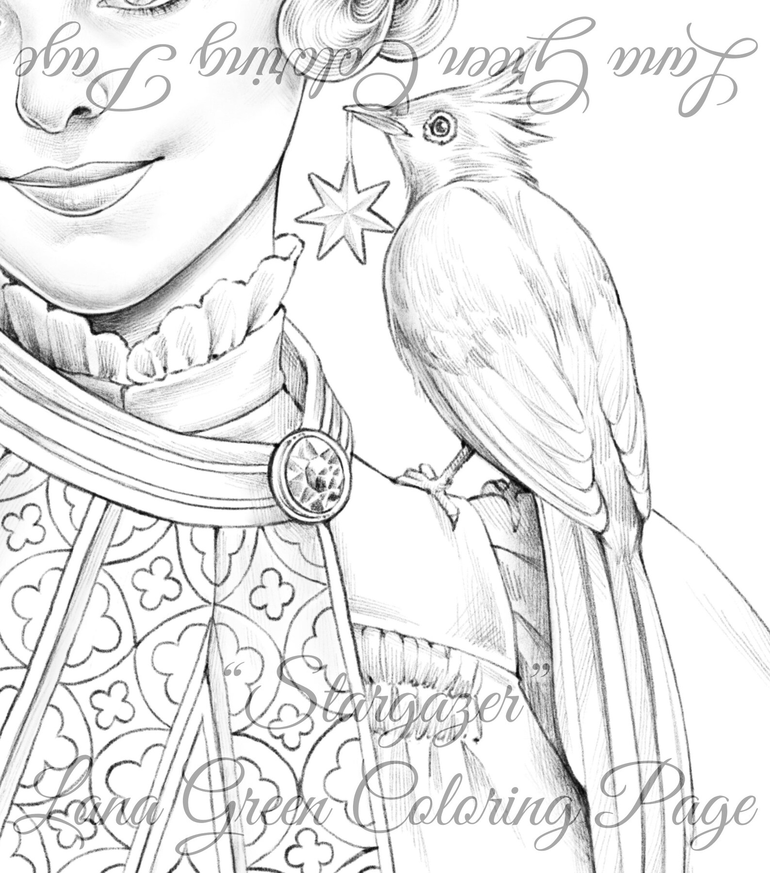 Stargazer • Coloring Page for Adults • Grayscale Coloring Page ...
