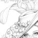 Stargazer Coloring Page for Adults Grayscale Coloring Page Instant ...
