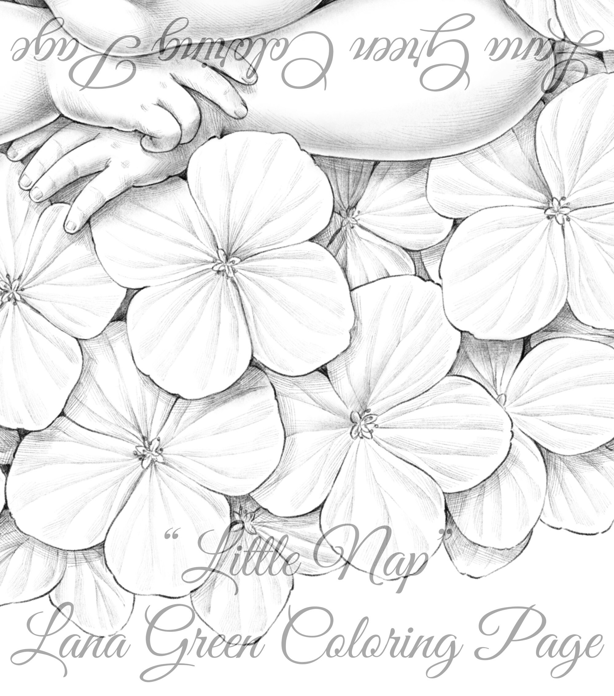Little Nap Coloring Page for Adults Grayscale Coloring - Etsy Australia