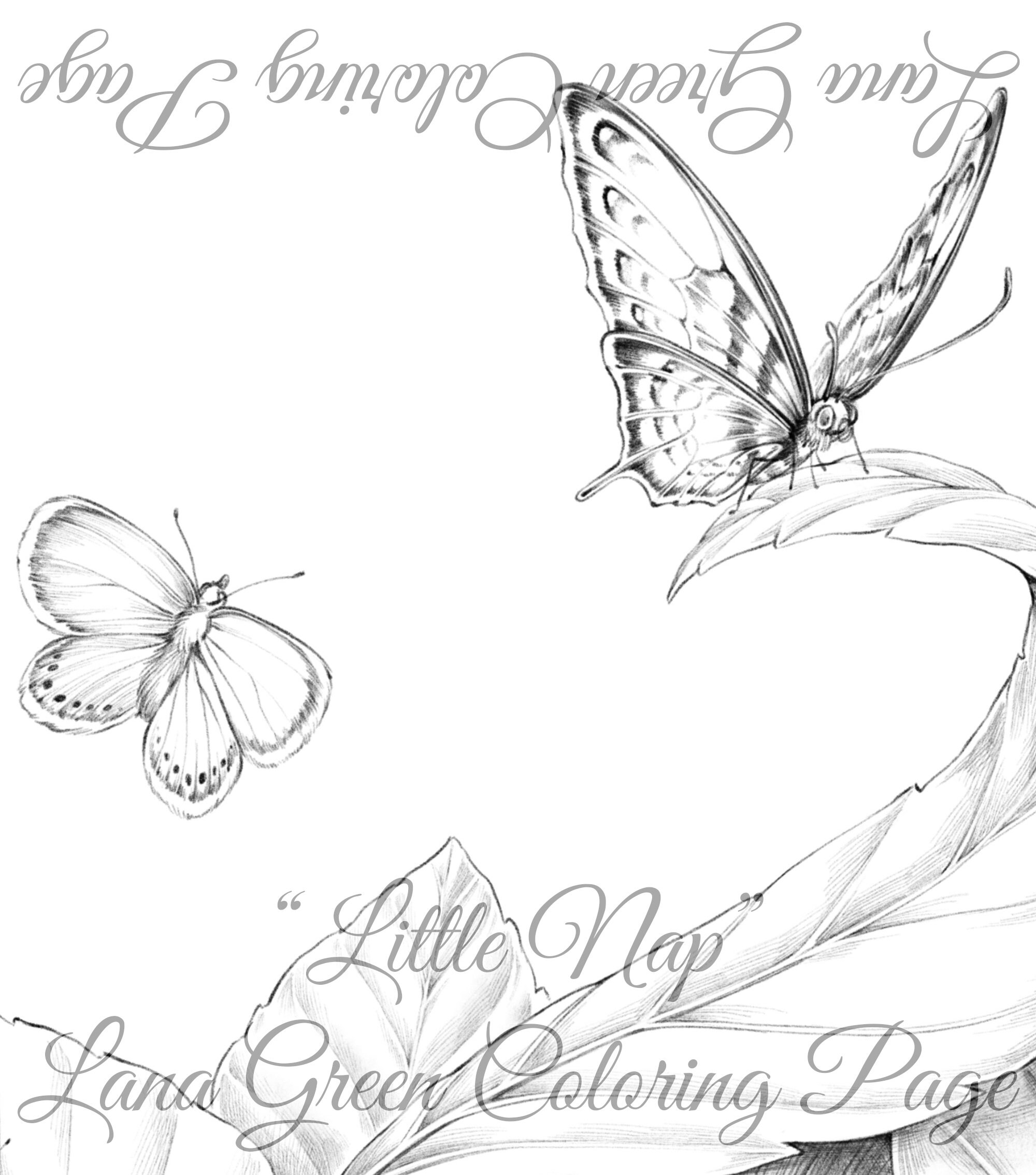 Little Nap Coloring Page for Adults Grayscale Coloring - Etsy Australia