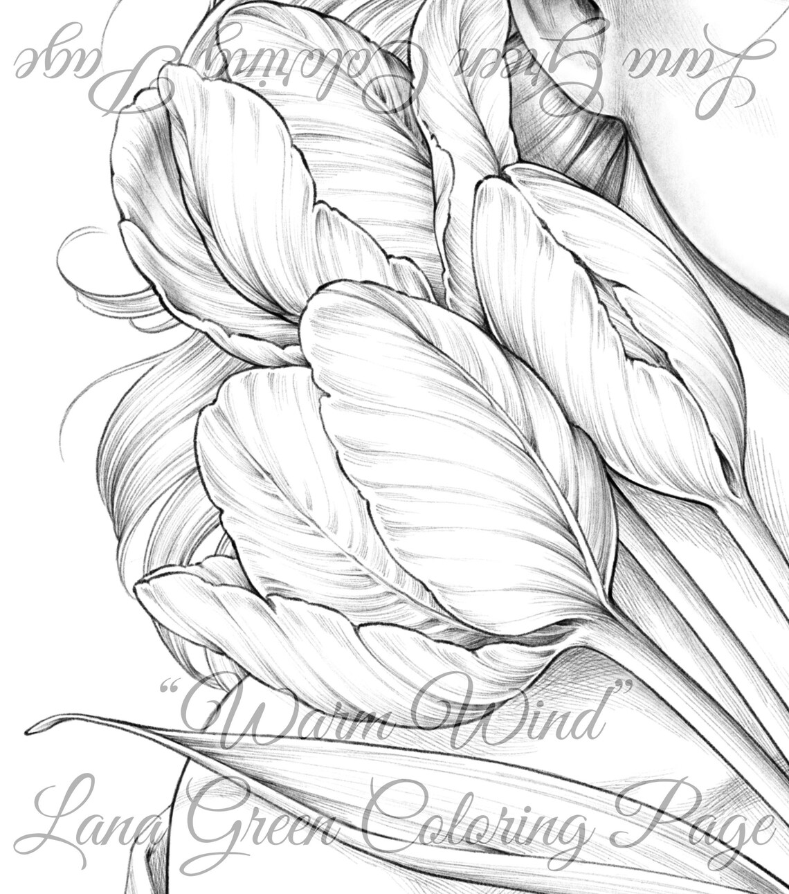 Warm Wind Coloring Page for Adults Grayscale Coloring Page | Etsy