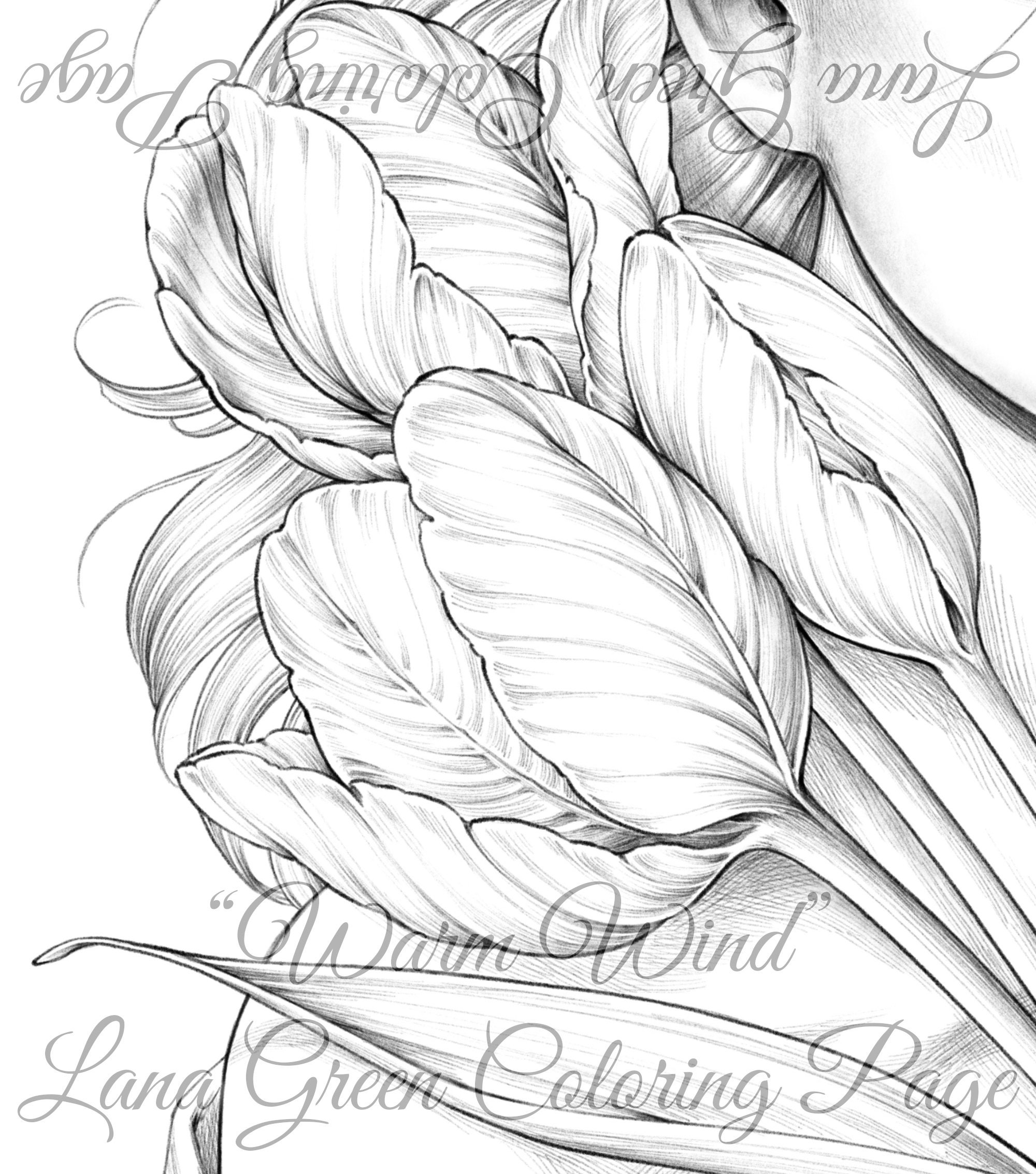 Warm Wind Coloring Page for Adults Grayscale Coloring Page | Etsy