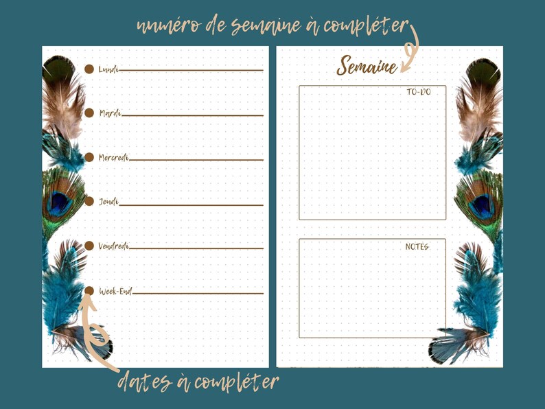 Pack Bullet Journal Printable Layout Theme Feathers in - Etsy