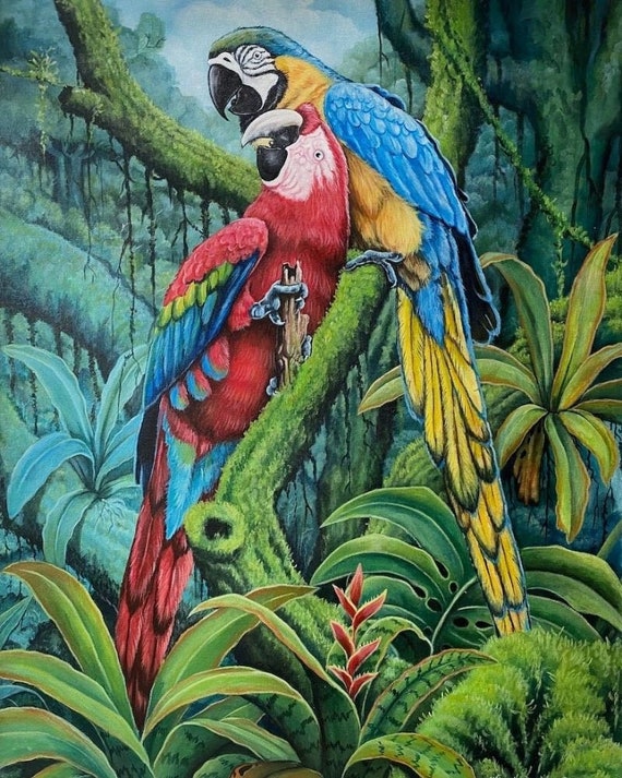Pinturas De Loros