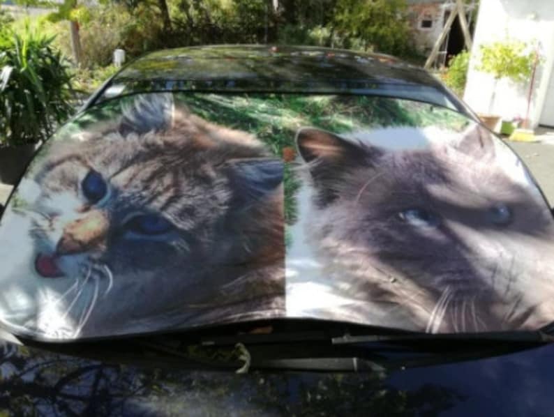 Custom Car Sun Shade Personalized Windshield Cover Sunshade - Etsy
