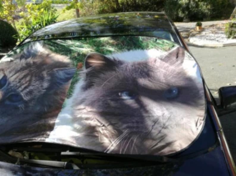 Custom Car Sun Shade Personalized Windshield Cover Sunshade - Etsy