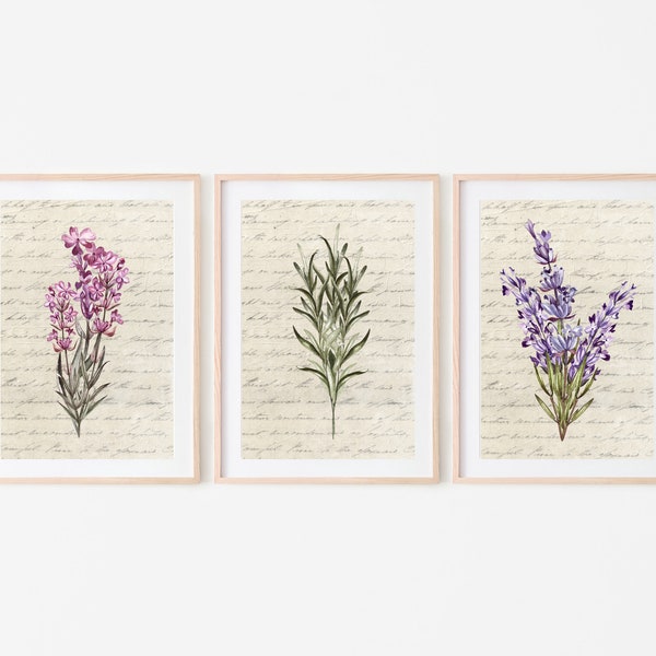 Shabby Chic Poster - Etsy