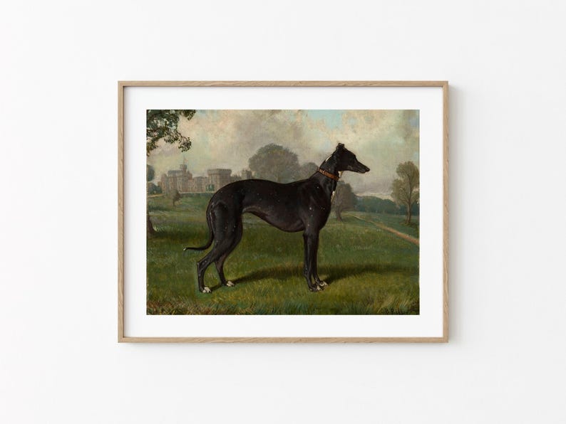 Queen Victoria's Greyhound Dog by Charles Burton Barber Printable ...