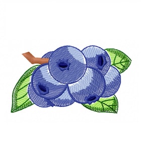 Blueberry Embroidery Design - 5 Sizes Instant Download - Etsy