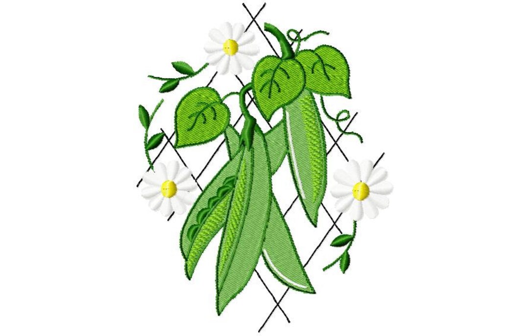 Green Pea Embroidery Design - 5 Sizes Instant Download - Etsy