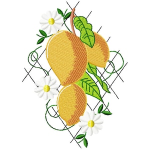 Mango Embroidery Design - 5 Sizes Instant Download - Etsy