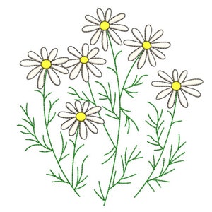 Daisies Embroidery Design - Etsy