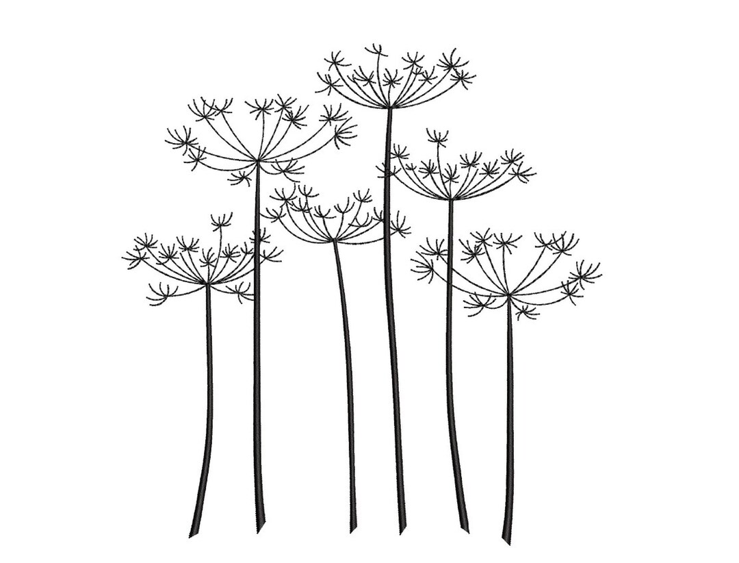 Cow Parsley Machine Embroidery Design, Plants Embroidery Design, 5 ...