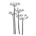 Cow Parsley Embroidery Design, Plants Machine Embroidery Design, 5 ...