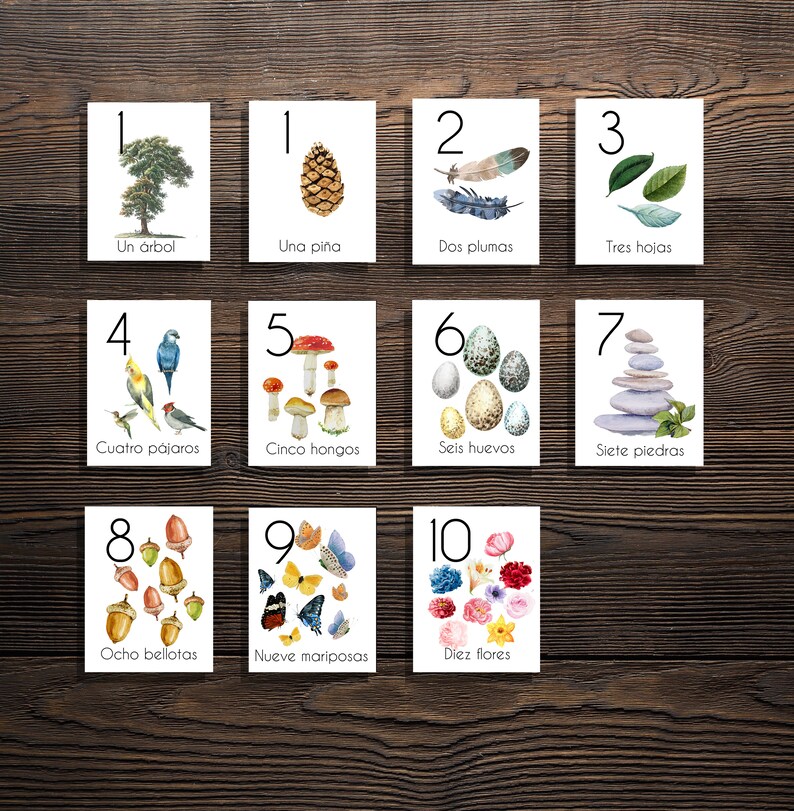 Spanish Counting in Nature Cards 1-10 - Etsy