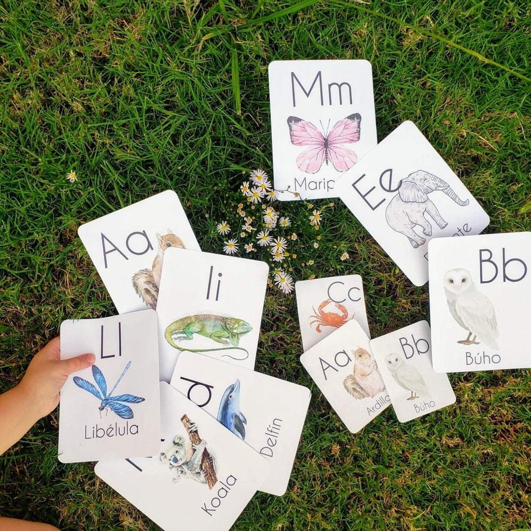 Spanish Alphabet Animal Flashcards - Etsy
