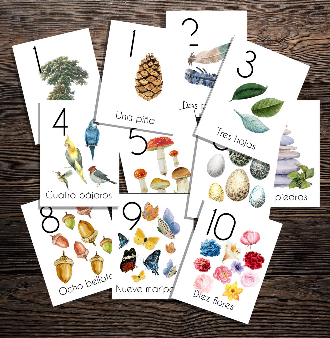 Spanish Counting in Nature Cards 1-10 - Etsy