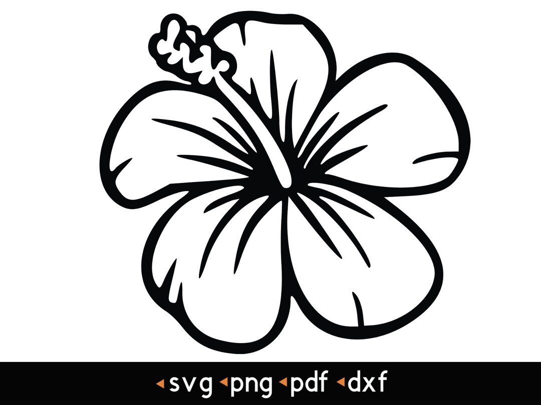 Flower- #3 (transparent Background) Svg, Png, Pdf, Dxf - Etsy