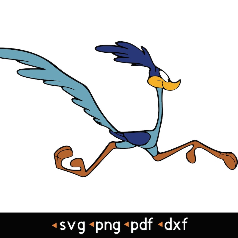 Aufkleber roadrunner - Etsy.de