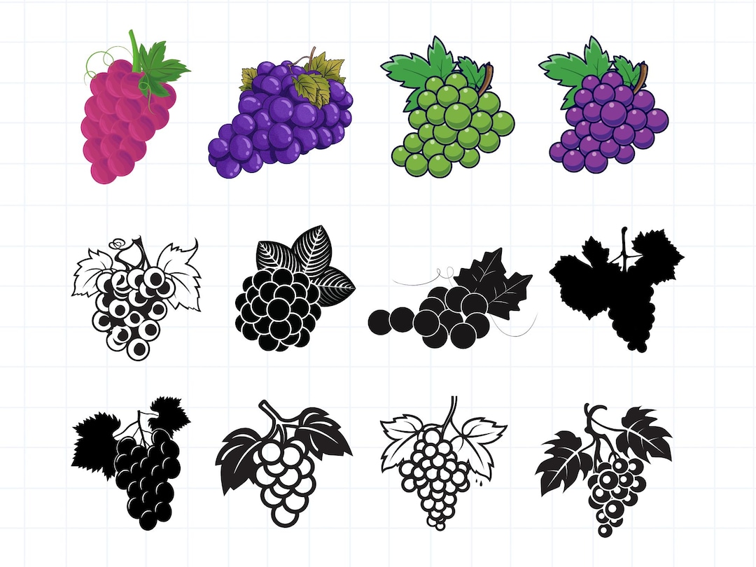 Grape SVG, Wine Svg Bundle, Fruit SVG, Vineyard Cut File, Wine SVG, Grape Cricut, Grape Vector ...