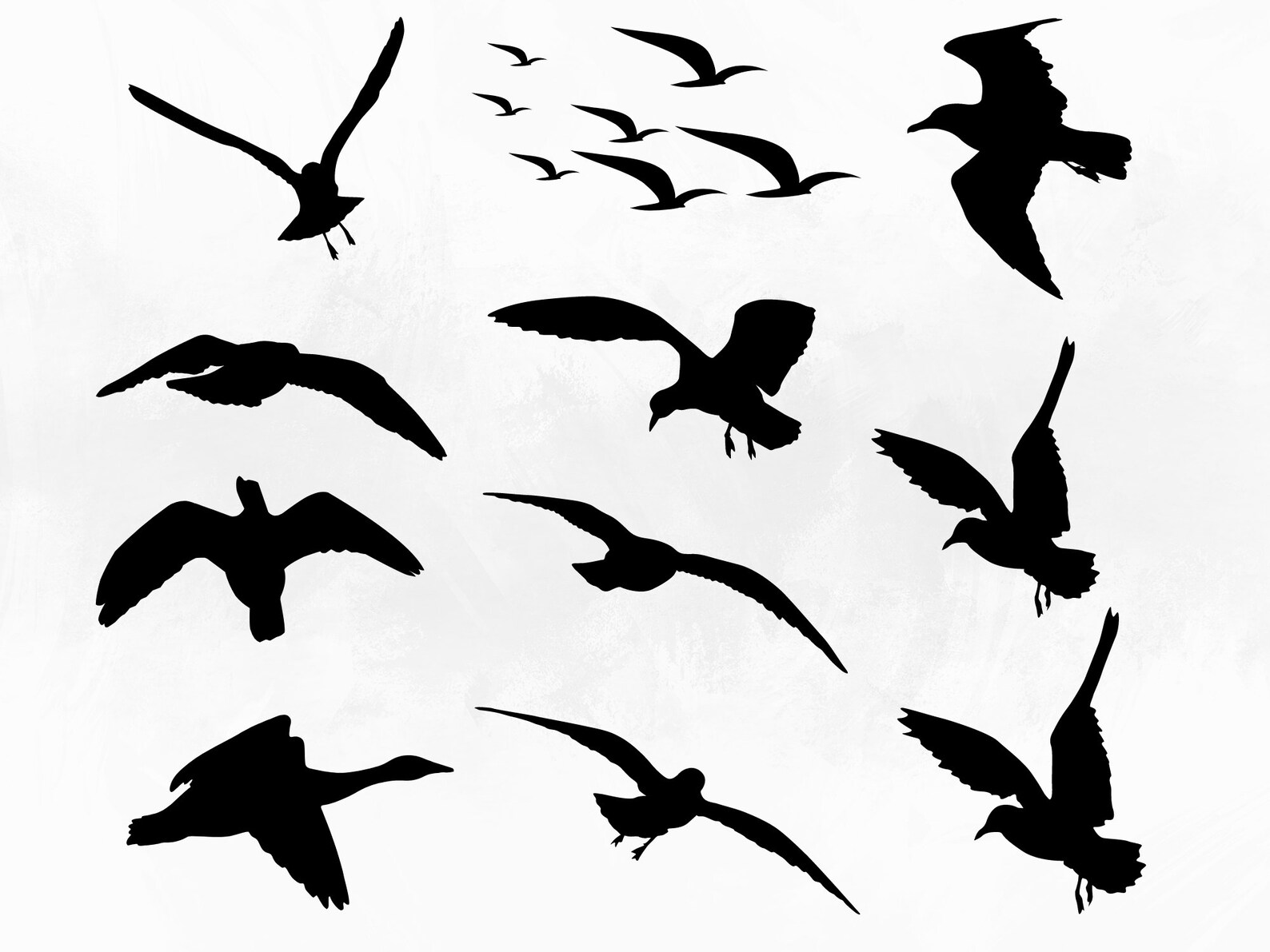 Seagull SVG, Bird Svg, Flying Bird Svg, Seagull Cricut, Sea Bird Clip ...