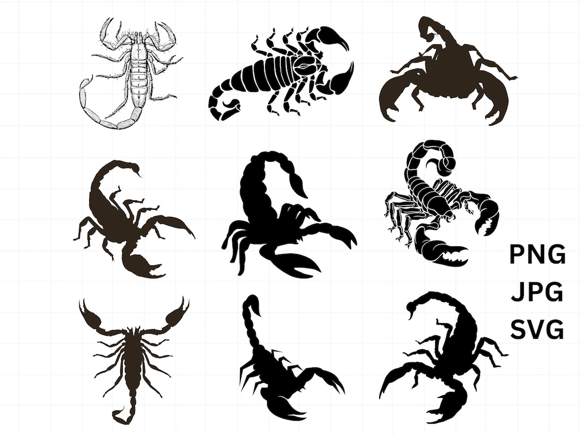 Scorpion SVG Bundle, Scorpion Dxf, Scorpion Png, Scorpion Eps, Scorpion ... Scorpion SVG Bundle, Scorpion Dxf, Scorpion Png, Scorpion Eps, Scorpion ...
