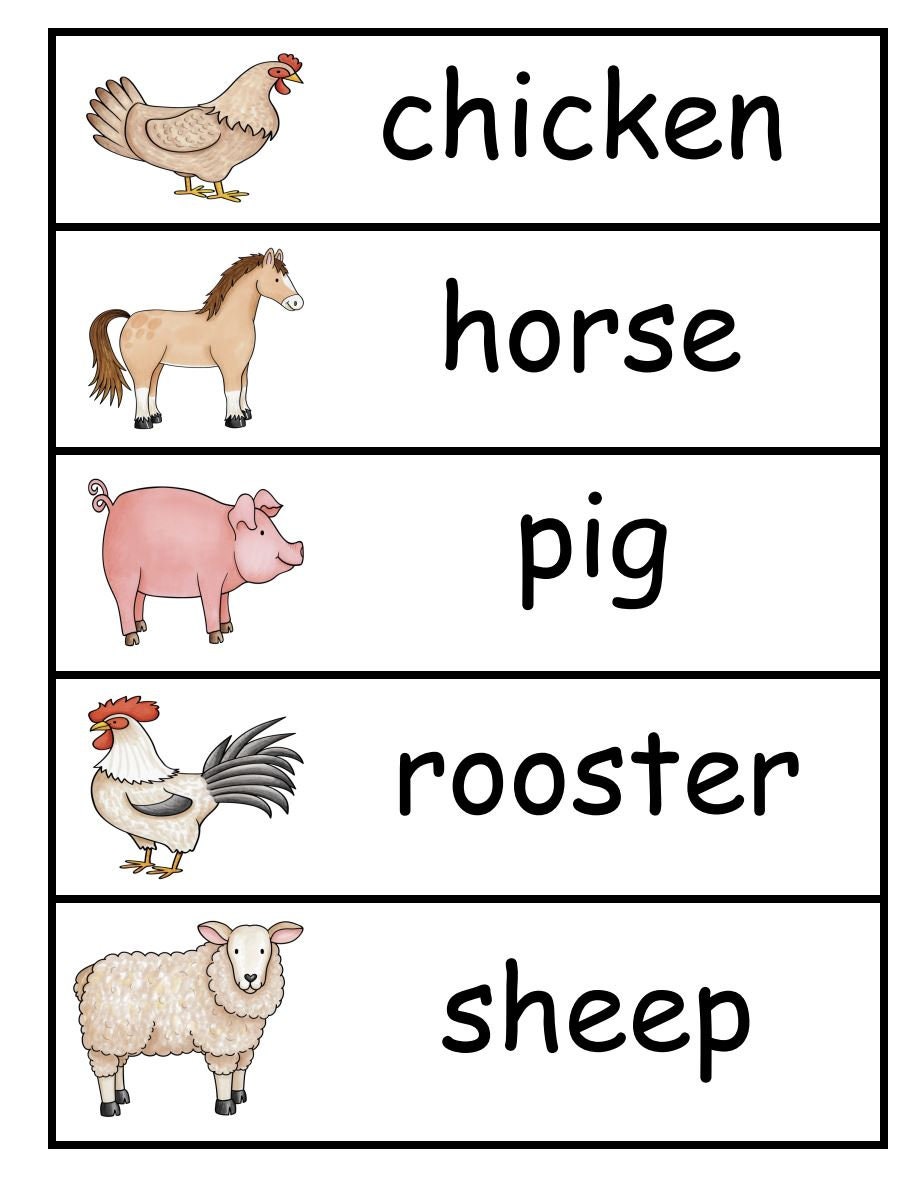 Farm Word Wall & Vocabulary Cards - Etsy