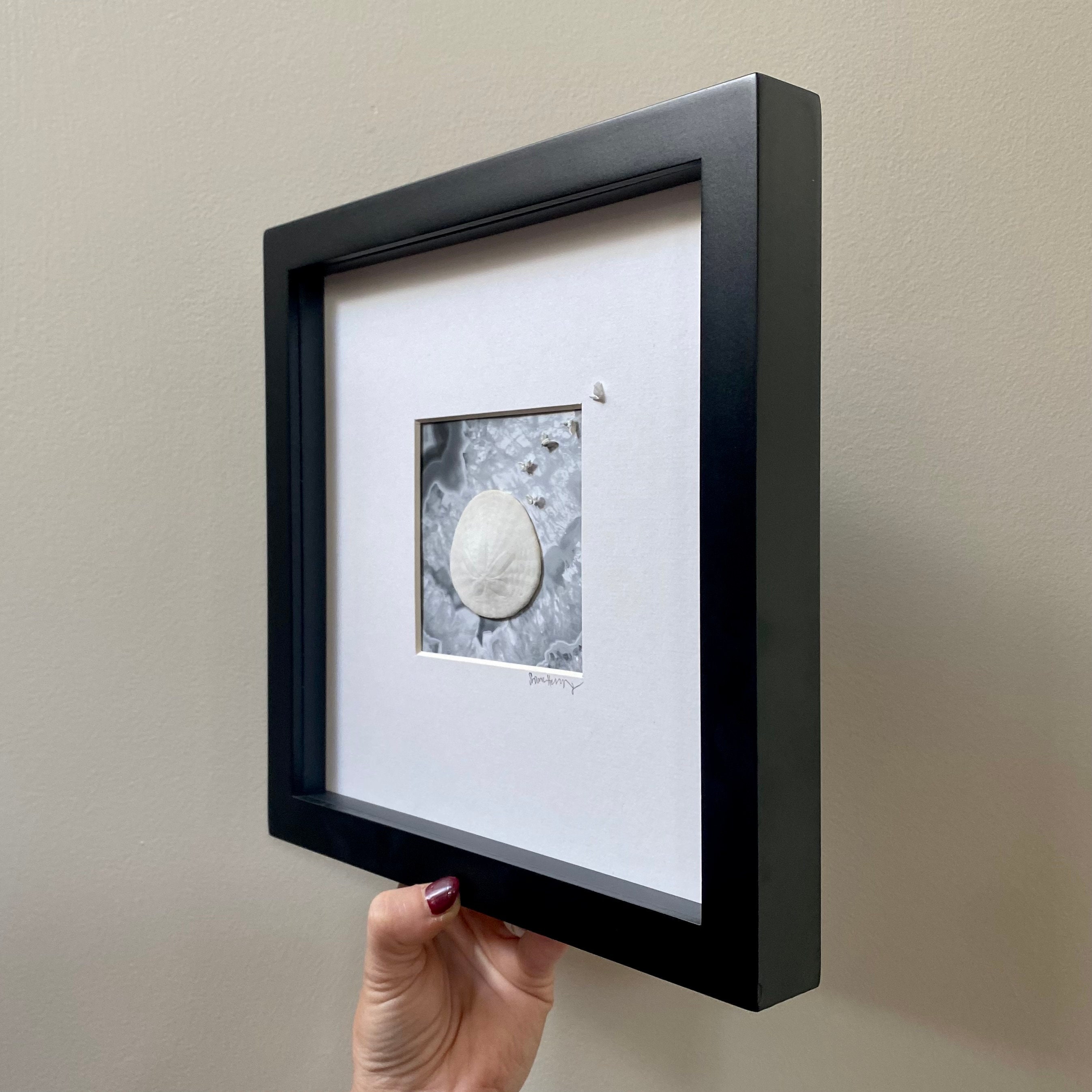 The Legend of a Sand Dollar Genuine Framed Sand Dollar Art - Etsy