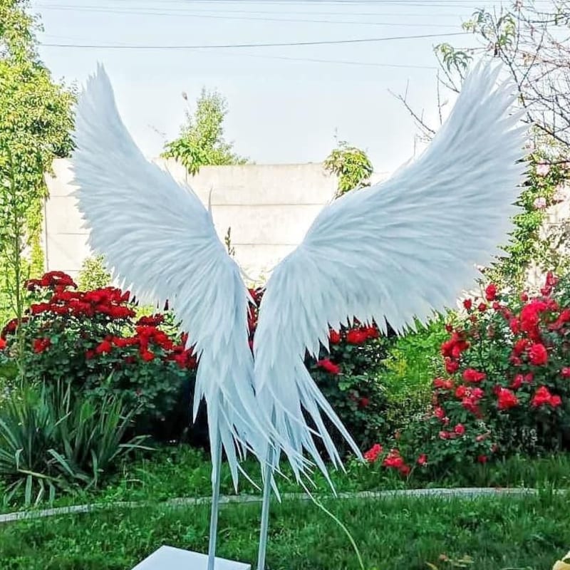 Wings Photo Prop - Etsy