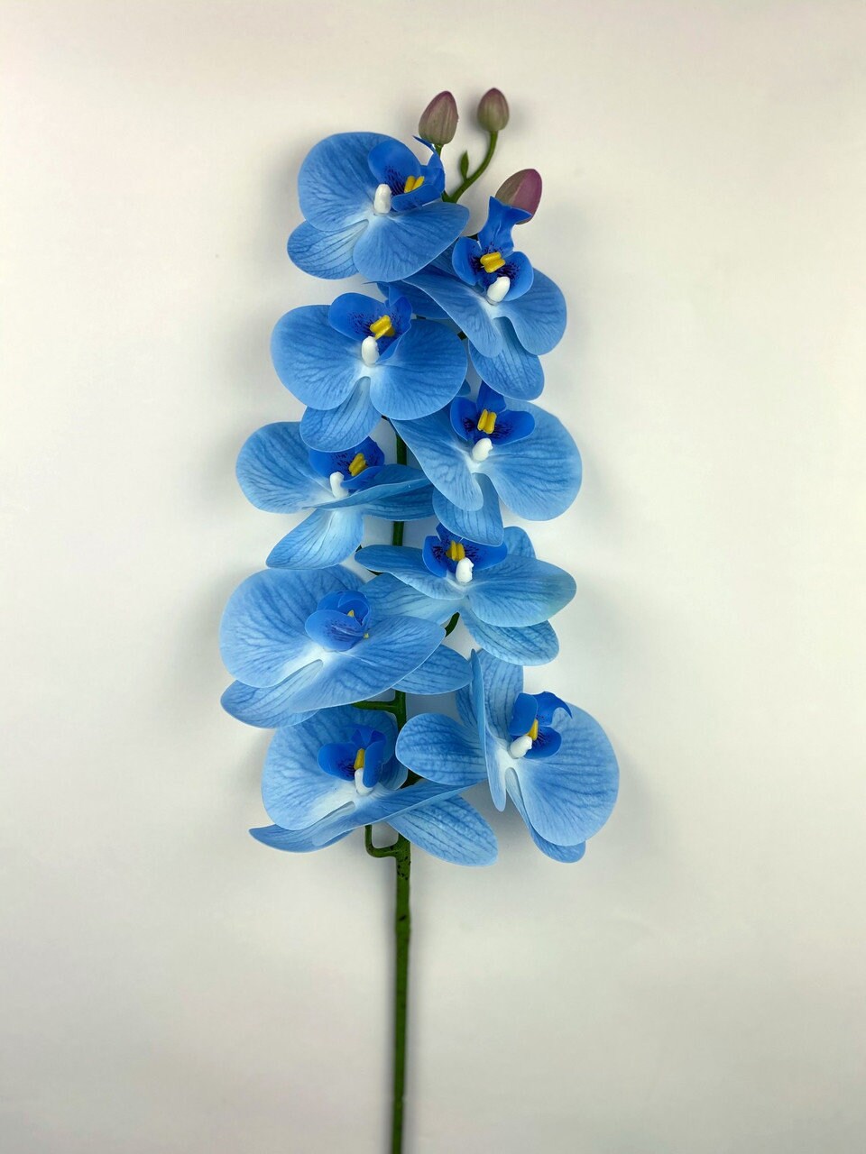 Blue Orchid 9 Heads, Bright Blue Orchid Stem, Artificial Orchids, Latex ...