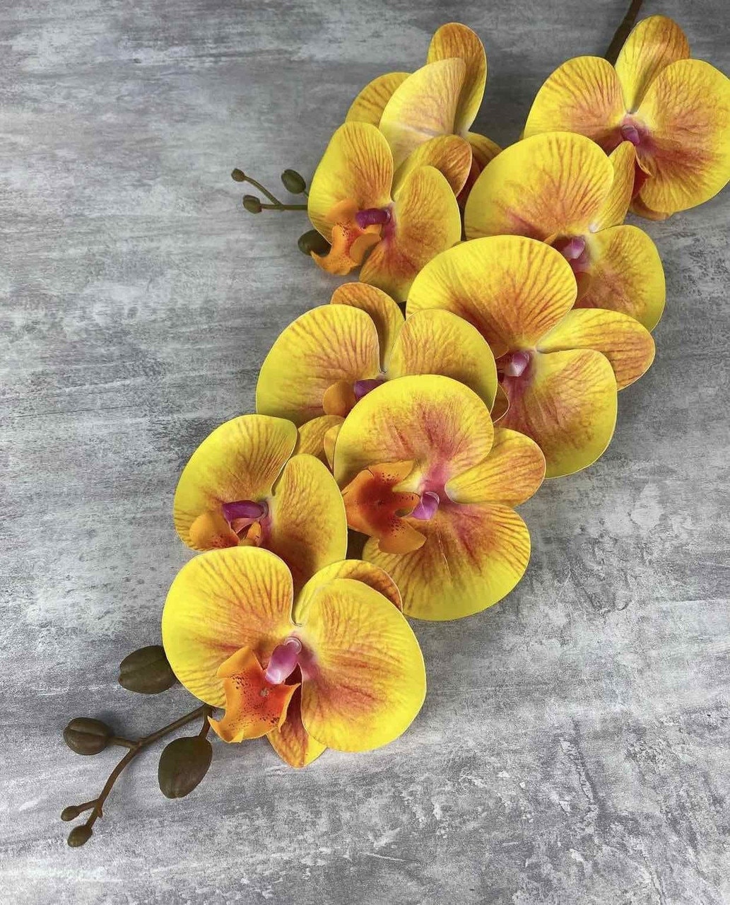 Orange Orchids Arrangements