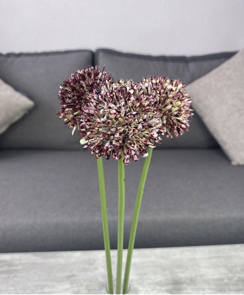Artificial Allium Single Stem Allium Flower 3 Stems 15 - Etsy